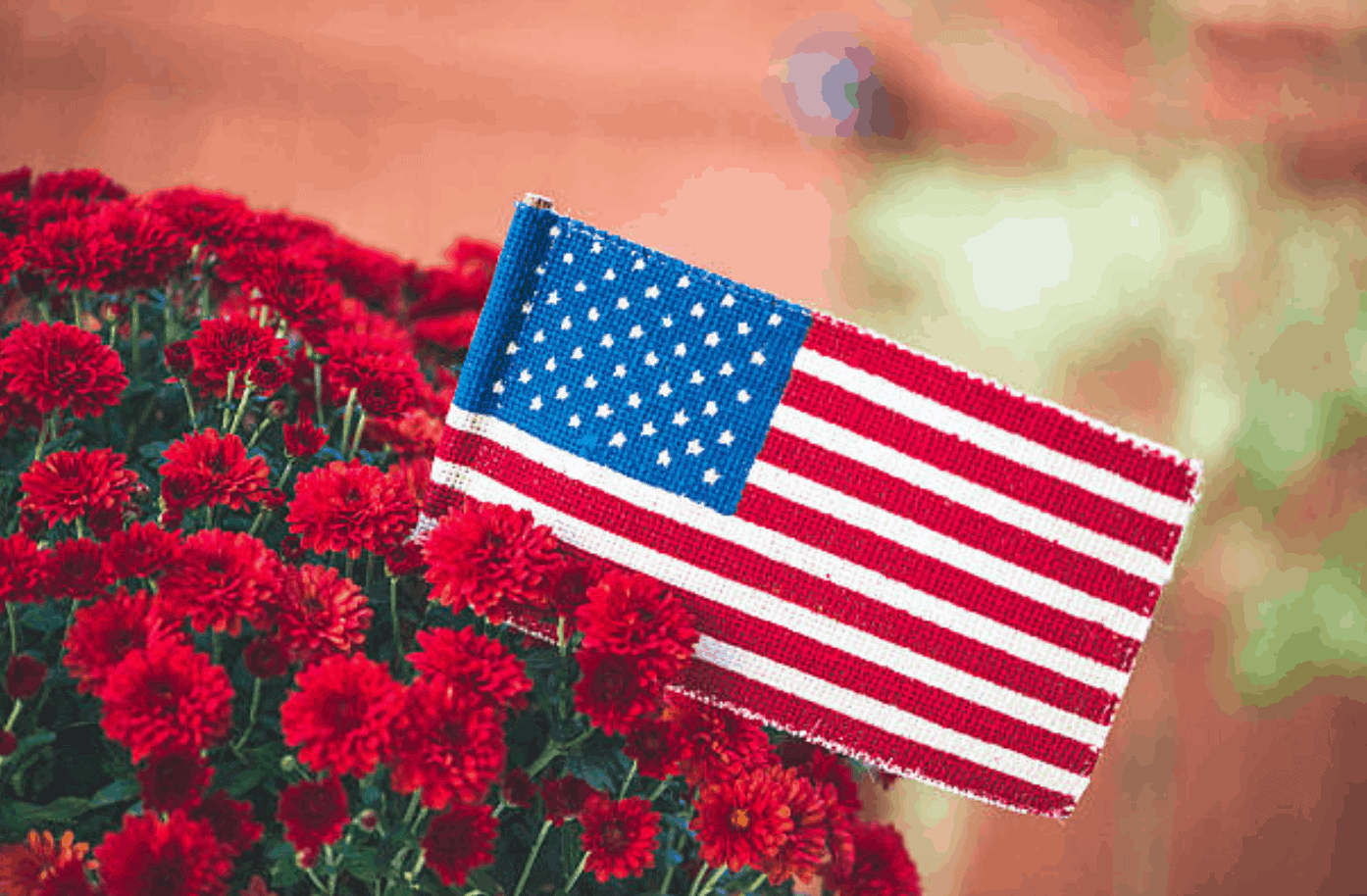8 Patriotic Landscaping Ideas - Helms Bakersfield